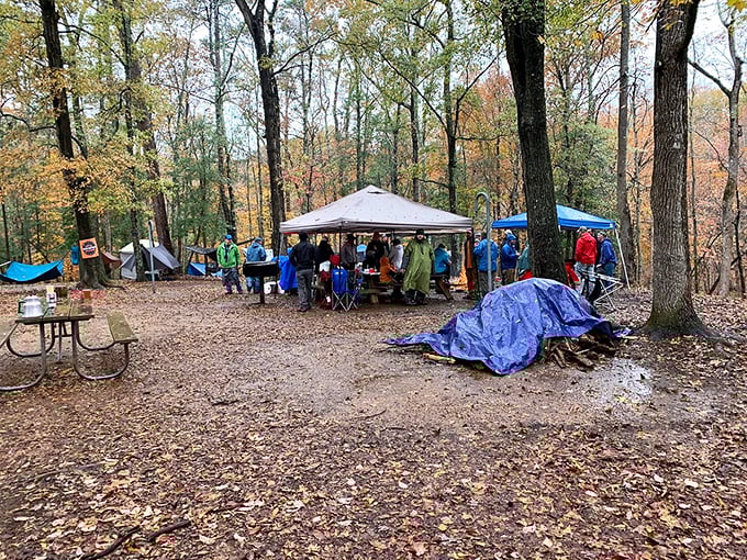 Camping among autumn leaves—where "roughing it" means disconnecting from Wi-Fi but connecting with something infinitely more valuable.
