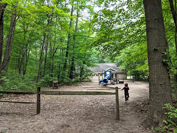 Where forest meets playground – because even in nature's paradise, sometimes the kids just need to climb on something that isn't a tree.