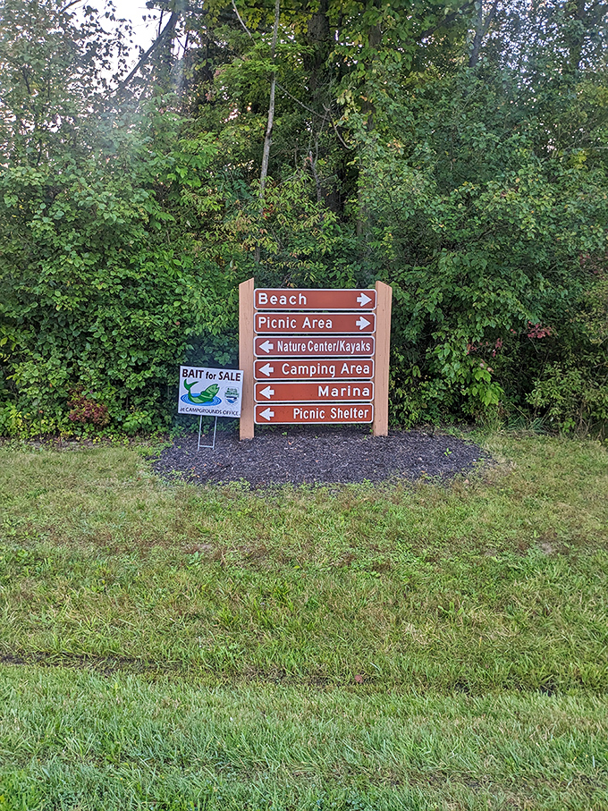 Nature's GPS system – follow these arrows to find everything from beach bliss to marshmallow-roasting perfection.