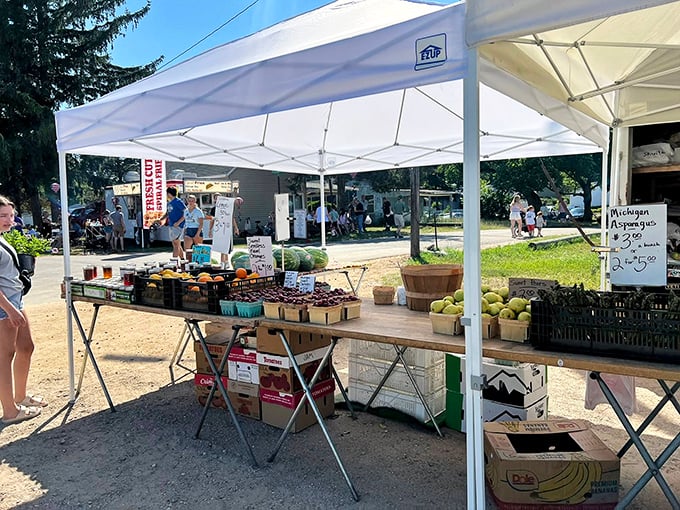 Summer's bounty on display! Fresh produce arranged in perfect rows tempts shoppers to add farm-fresh goodness to their treasure-hunting haul.