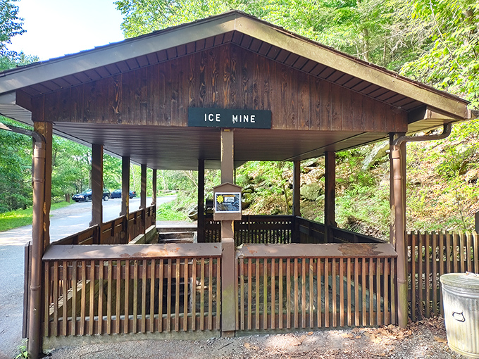 The Ice Mine pavilion: protecting visitors from sunburn while they marvel at ice forming in summer—nature's way of thumbing its nose at physics.