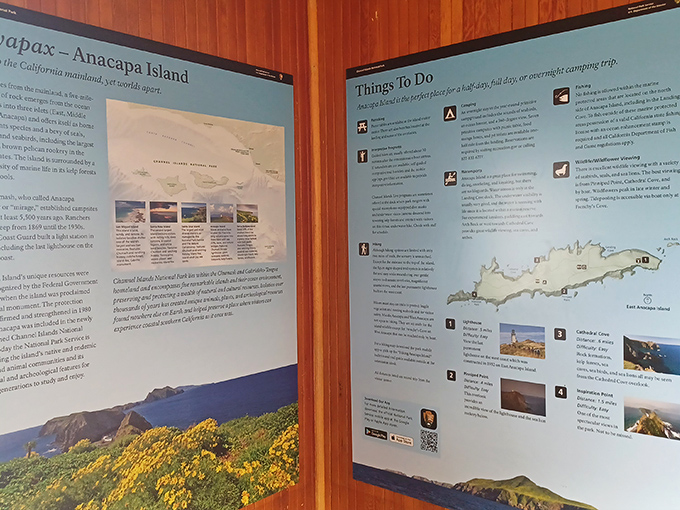This information board offers the island's greatest hits—think of it as Anacapa's personal LinkedIn profile.