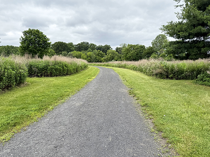 The path less traveled, yet perfectly maintained. This gravel trail practically whispers, "Follow me, the office emails can wait another hour."