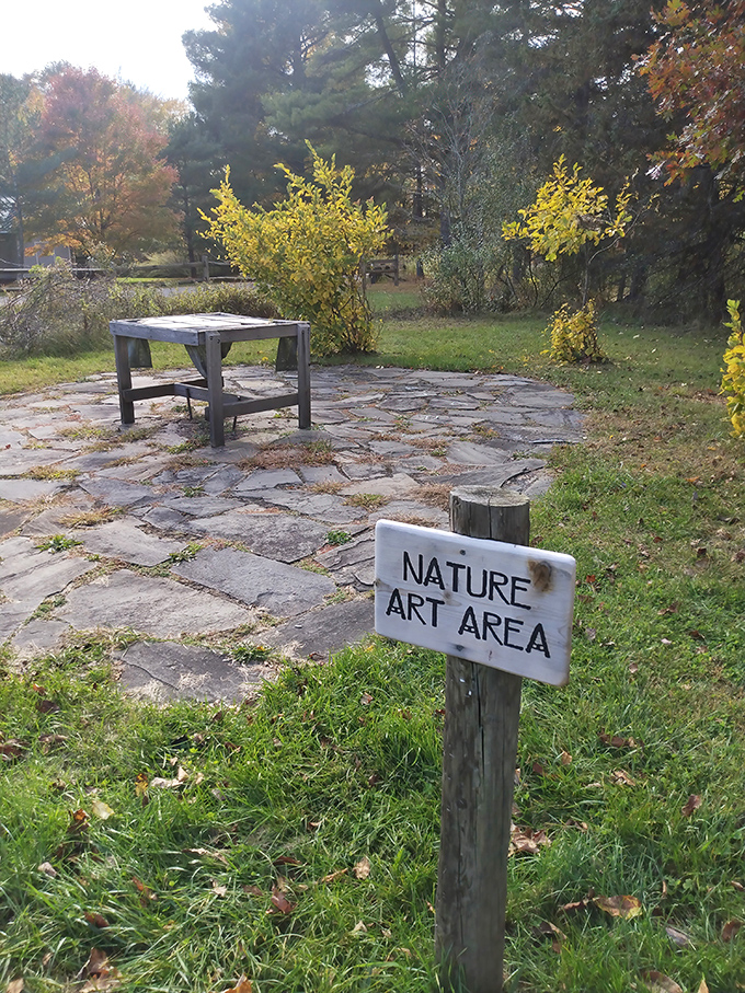 "Nature Art Area"—where creativity needs no electricity. This stone patio invites visitors to make masterpieces with whatever the forest provides.