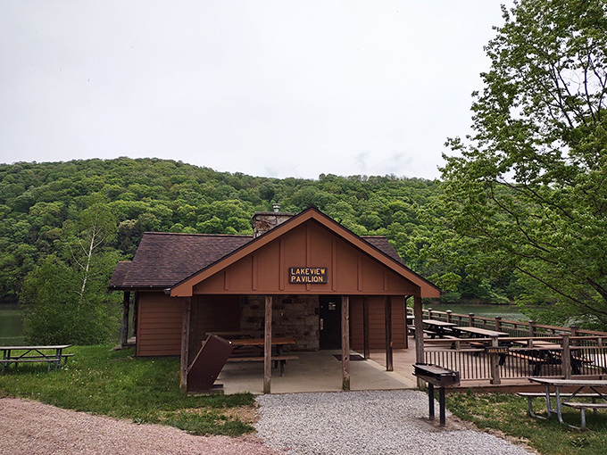 The Lakeview Pavilion—where "rustic charm" isn't just a Pinterest board but an actual place you can touch and experience.