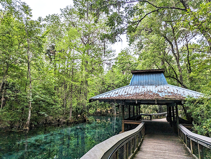 This covered walkway isn't just practical – it's the perfect frame for that "I found paradise and it's in Florida" moment. 
