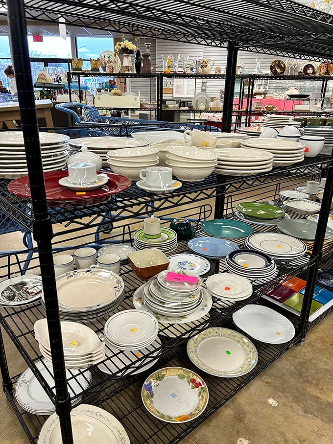 Dish democracy in action—floral patterns and classic whites coexist peacefully on metal shelves, ready to grace new dinner tables.