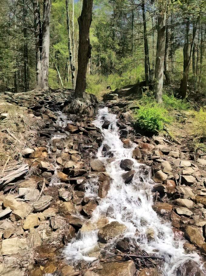 Mother Nature's original water feature doesn't need electricity—just gravity and persistence. This stream has been carving rock longer than humans have been taking selfies.