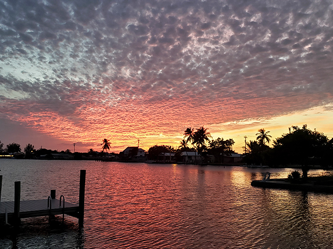 Matlacha sunsets perform a daily magic show, turning ordinary clouds into cotton candy and water into liquid gold—no admission required.