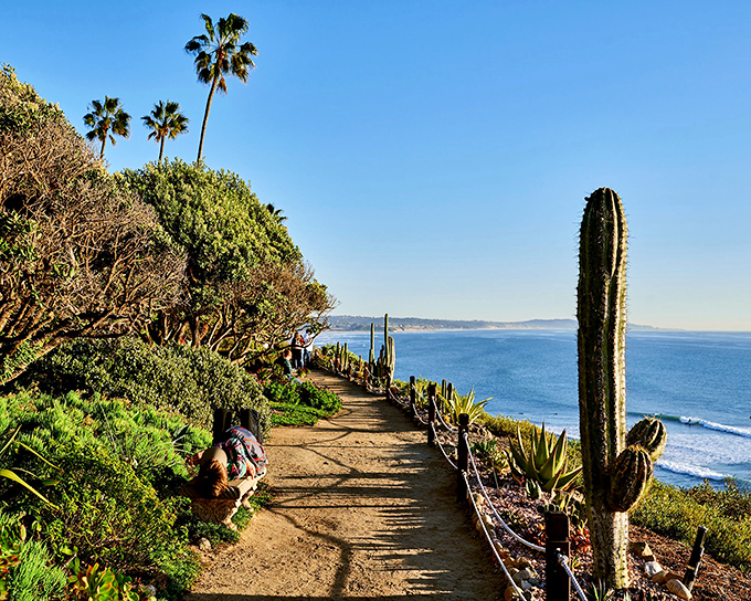 The coastal trail winds between cacti and ocean views, offering hikers nature's version of a choose-your-own-adventure story with spectacular rewards.