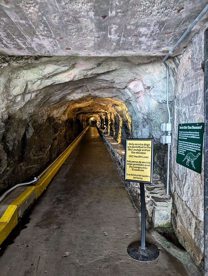 The elevator tunnel through solid granite – James Bond's mountain hideout meets small-town charm in this engineering marvel carved through ancient stone.