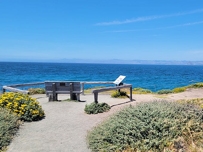 The world's best waiting room. This simple bench offers front-row seats to nature's greatest show—the endless dance between land and sea.