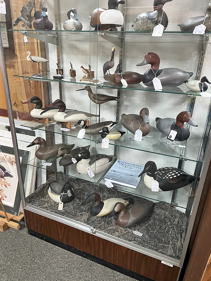A flock of decoys that never flew south—these wooden waterfowl represent the pinnacle of functional American folk art.