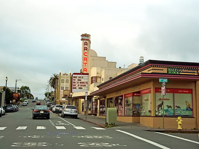 Arcata's historic buildings house everything from bookstores to brewpubs, creating a downtown where Victorian architecture meets college-town energy.