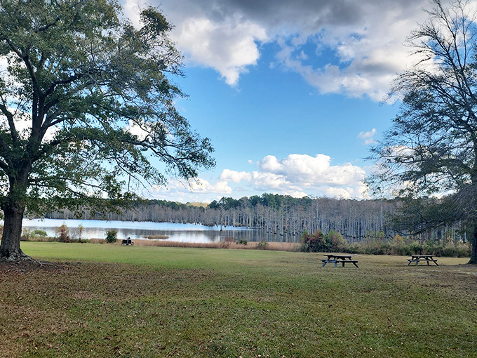Goodale State Park: Sunlight dapples through trees onto a lake so peaceful it looks like nature's version of a meditation app.