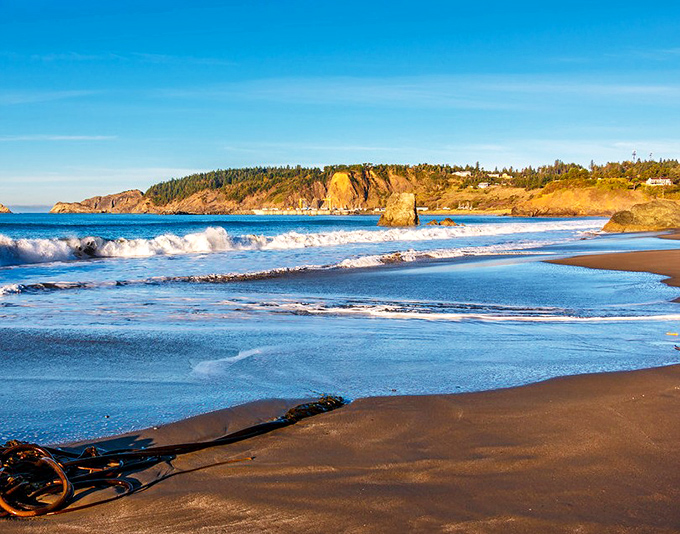 Port Orford: Golden cliffs catch the sunset light as waves create nature's own lace pattern along the shore. Pure coastal magic.