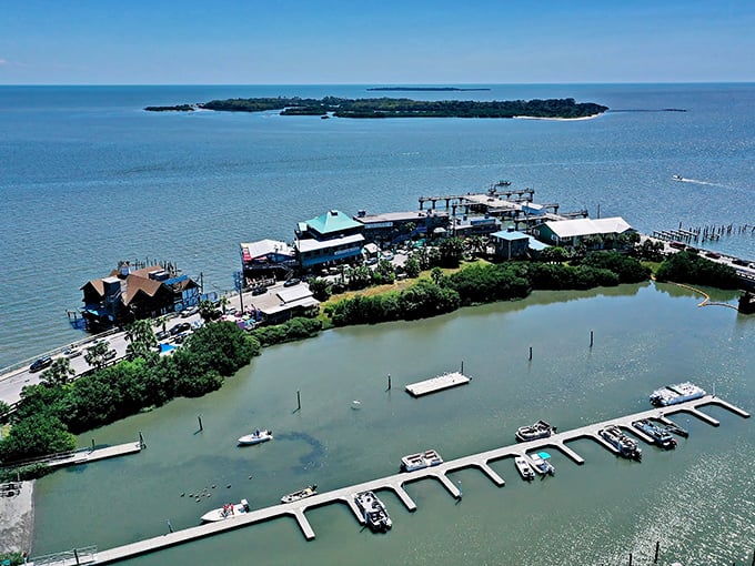Cedar Key's harbor view with island in the distance. Where the mainland feels miles away, even when it's not.