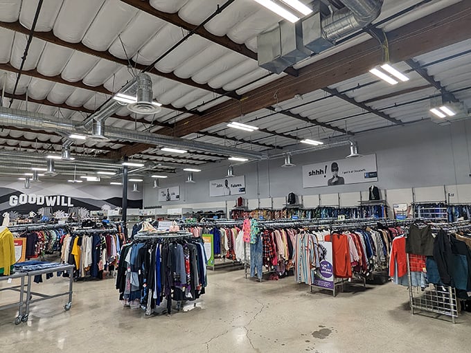 Warehouse-scale thrifting meets neighborhood charm - where every aisle promises a new discovery adventure.