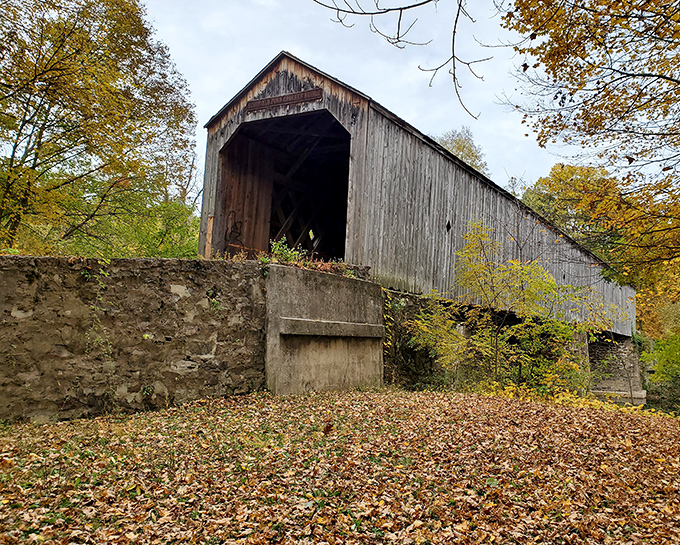 Weather-beaten wood tells tales of countless crossings—a bridge that's not just a way across, but a journey back in time.