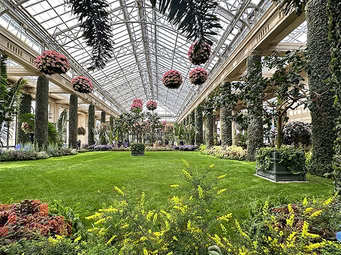 Inside Longwood's conservatory, a botanical wonderland unfolds where plants from around the world gather for the ultimate garden party.