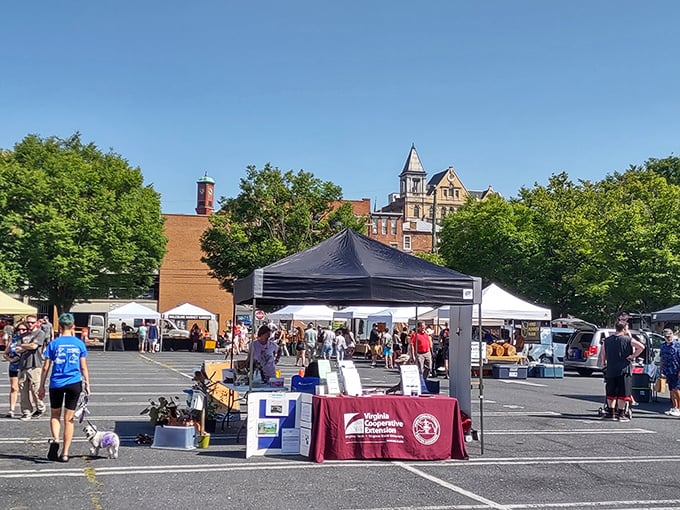Blue skies and bargain hunting go hand-in-hand at Staunton's market. That canopy might shade the very item you've been seeking!