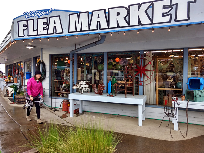 Small town, big finds! This cozy coastal market proves you don't need big city prices to discover special treasures.