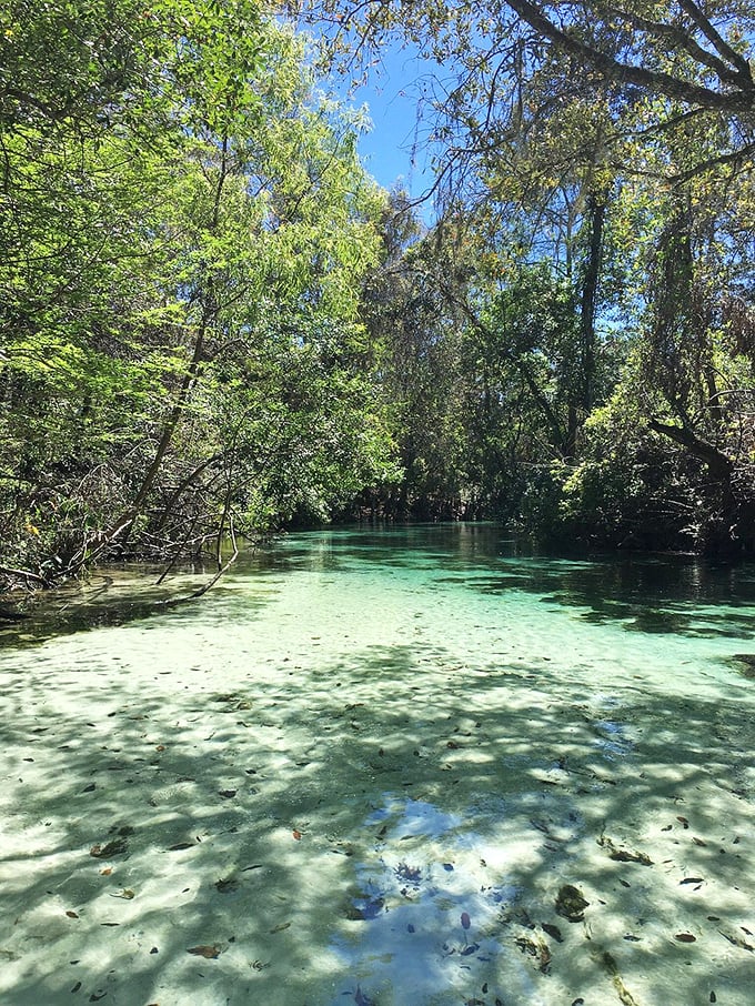 Paddling through Weeki Wachee is like floating on air – if air were turquoise blue and occasionally contained fish.