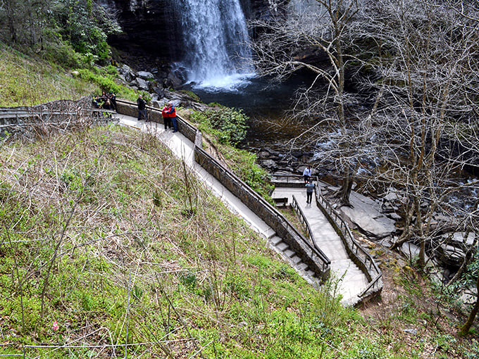 The architect's view reveals the perfect marriage of pathway and wilderness – accessibility without sacrificing an ounce of wonder.
