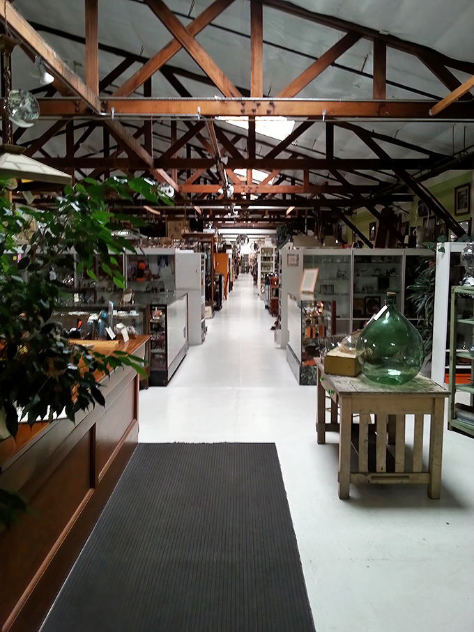 Another corridor beckons with promises of undiscovered gems hiding behind every carefully curated corner.