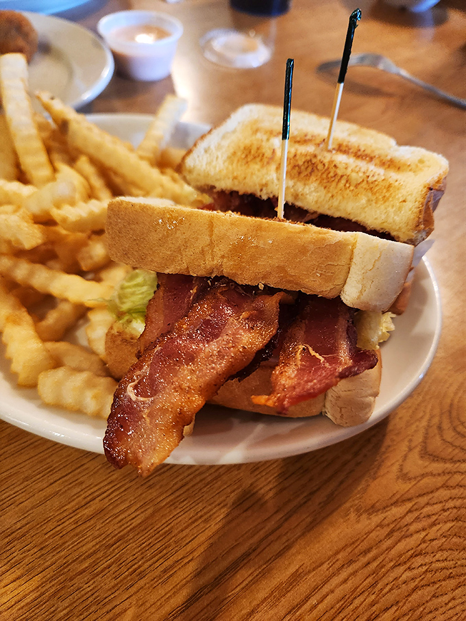 The BLT—where bacon is the star, lettuce and tomato are the supporting cast, and those golden fries deserve their own standing ovation.