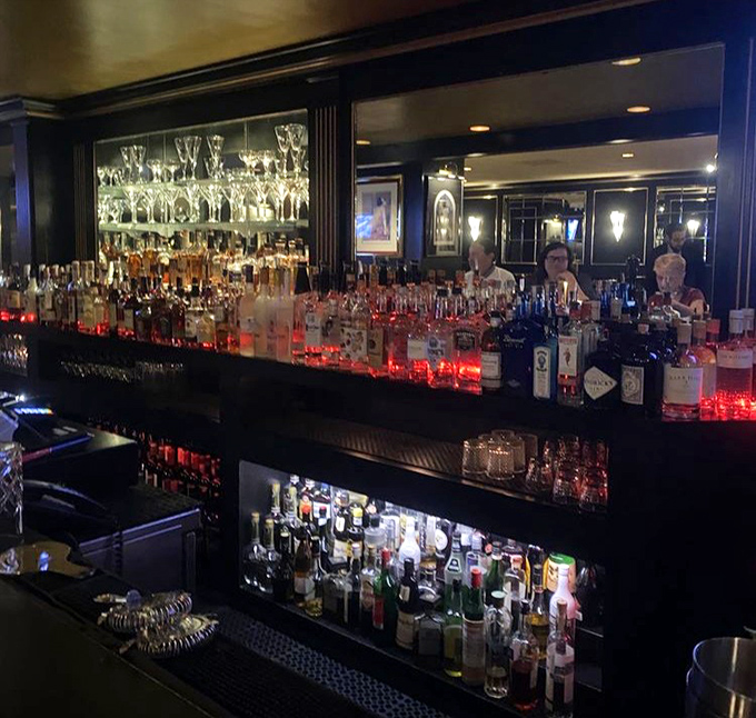 A bar stocked like a liquid library, where spirits line up like eager students waiting to graduate into your glass.