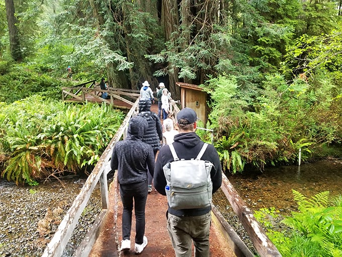 Crossing wooden bridges into emerald worlds feels like stepping into a fantasy novel. The entry fee to Narnia was never this reasonable.