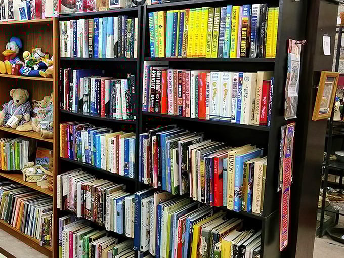 Books stacked with promise—each spine a doorway to another world. That teddy bear is just guarding the children's classics.