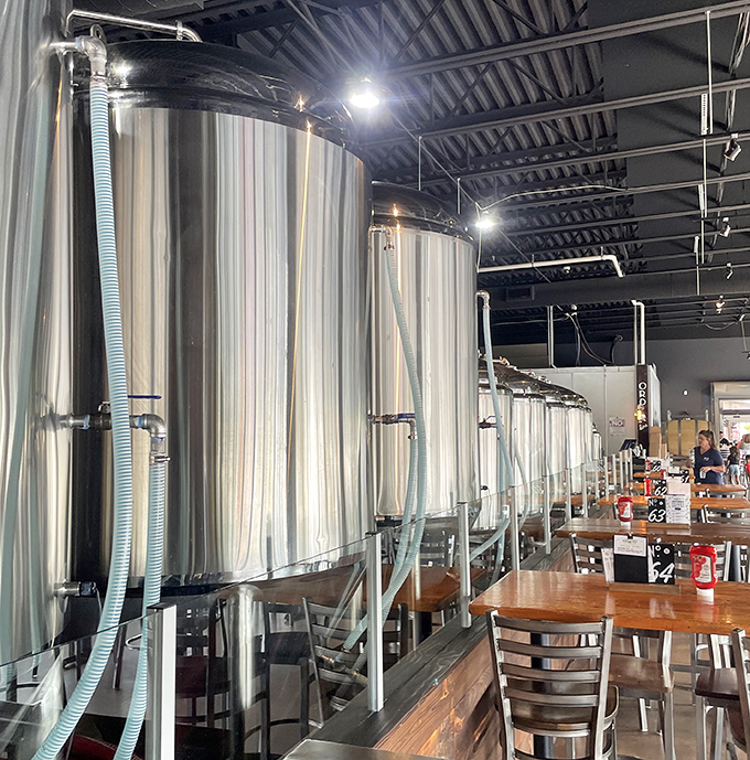 Gleaming stainless steel tanks—the modern-day cauldrons where science and magic brew together to create liquid happiness.