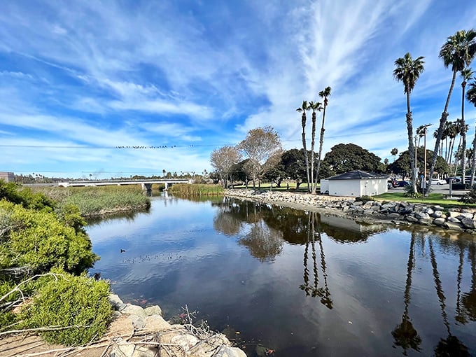 Buccaneer Park's serene waters reflect palm trees and blue skies. A peaceful urban oasis where wildlife and humans find common ground just steps from bustling streets.