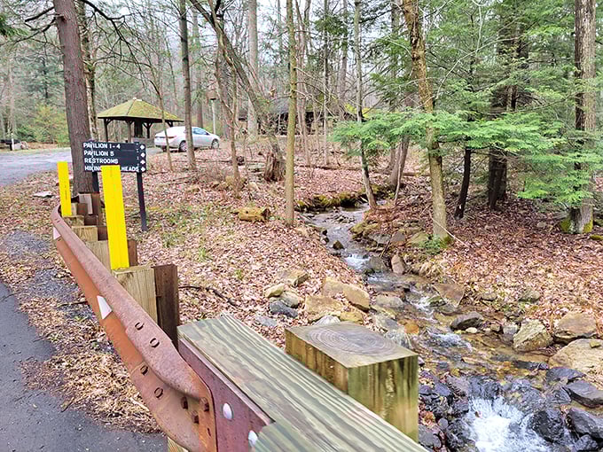 Covered picnic areas that prove the best restaurants sometimes don't have any walls at all.