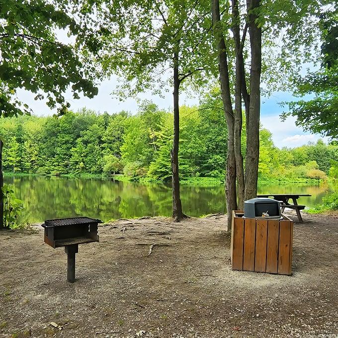 Lakeside lunch spots don't get more authentic. This simple grill and picnic setup proves that food always tastes better with a side of spectacular views.