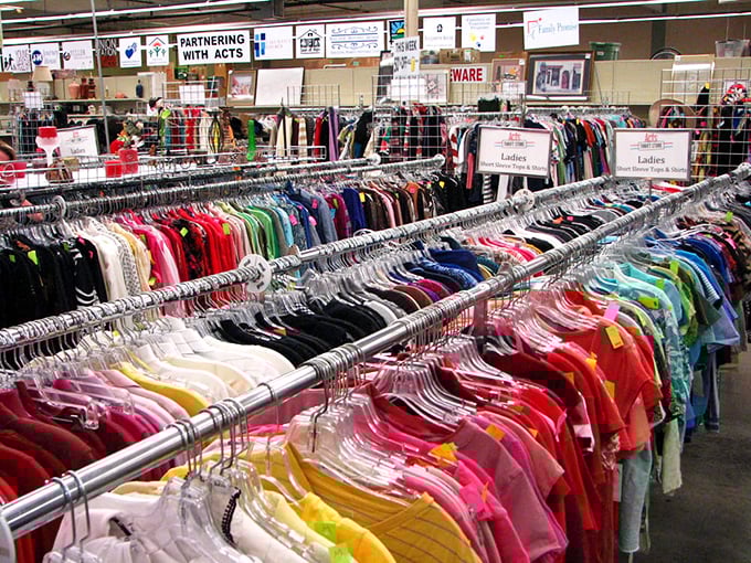 Color-coded clothing racks create a thrifter's rainbow, where yesterday's fashion finds become tomorrow's signature style statements.