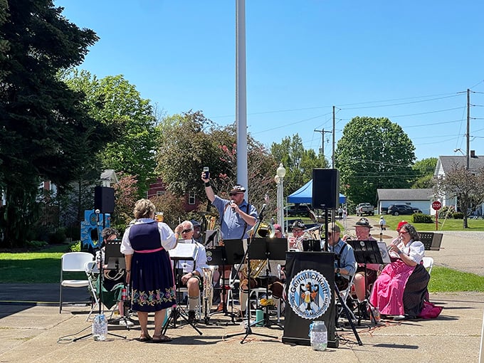 Community bands still gather to make music the old-fashioned way – with heart, harmony, and hometown pride.