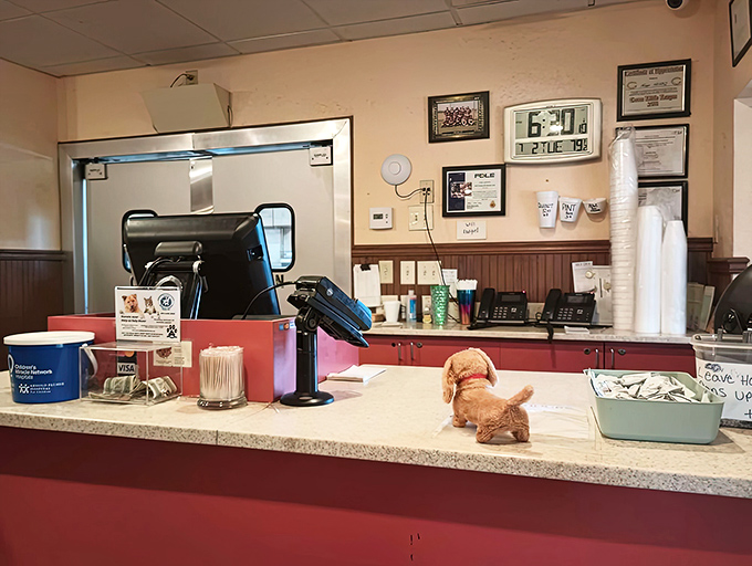 The counter where magic happens – where orders are taken, friendly banter is exchanged, and that little stuffed dog keeps watch over it all.