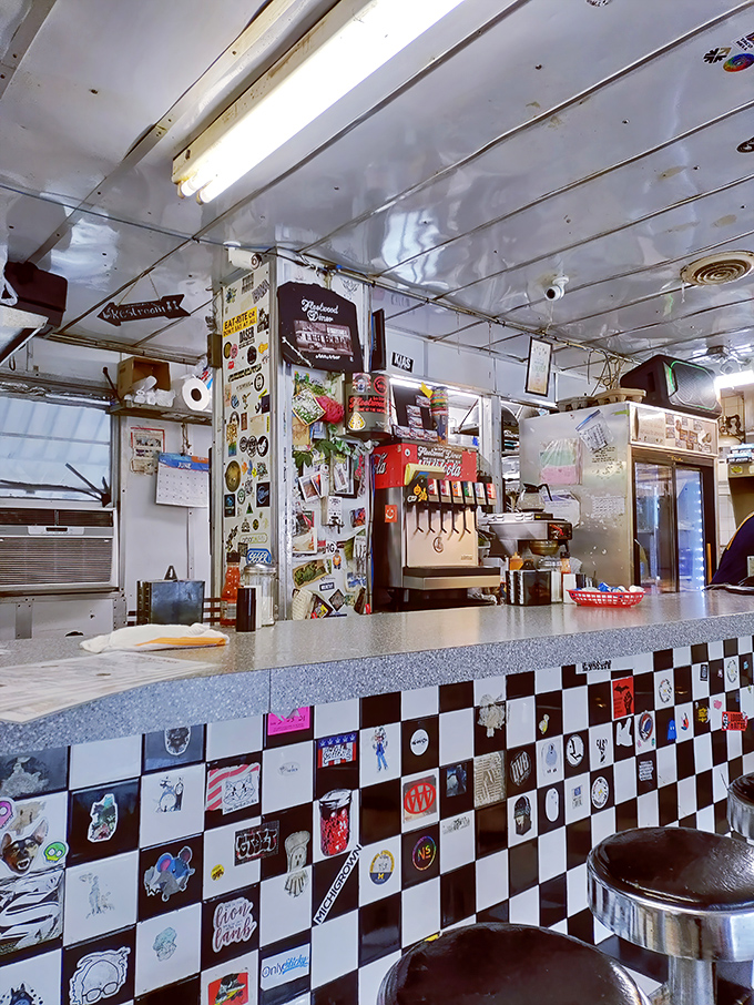 The heart of any great diner beats strongest at the counter where magic happens daily.