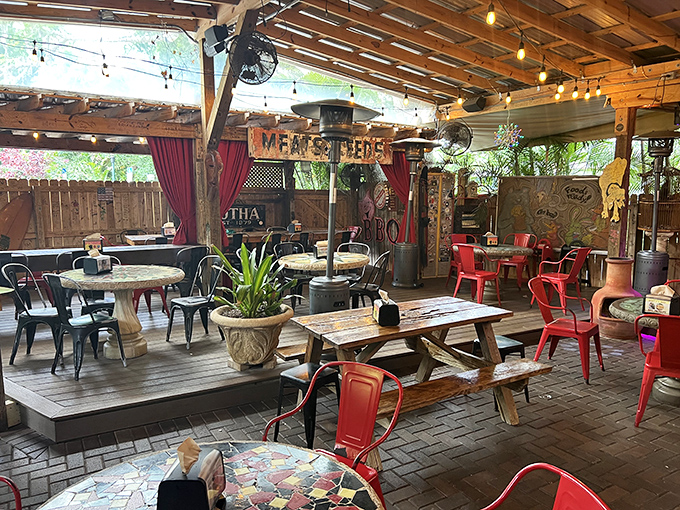 Outdoor dining that feels like your coolest friend's backyard, complete with string lights and that perfect Florida breeze.