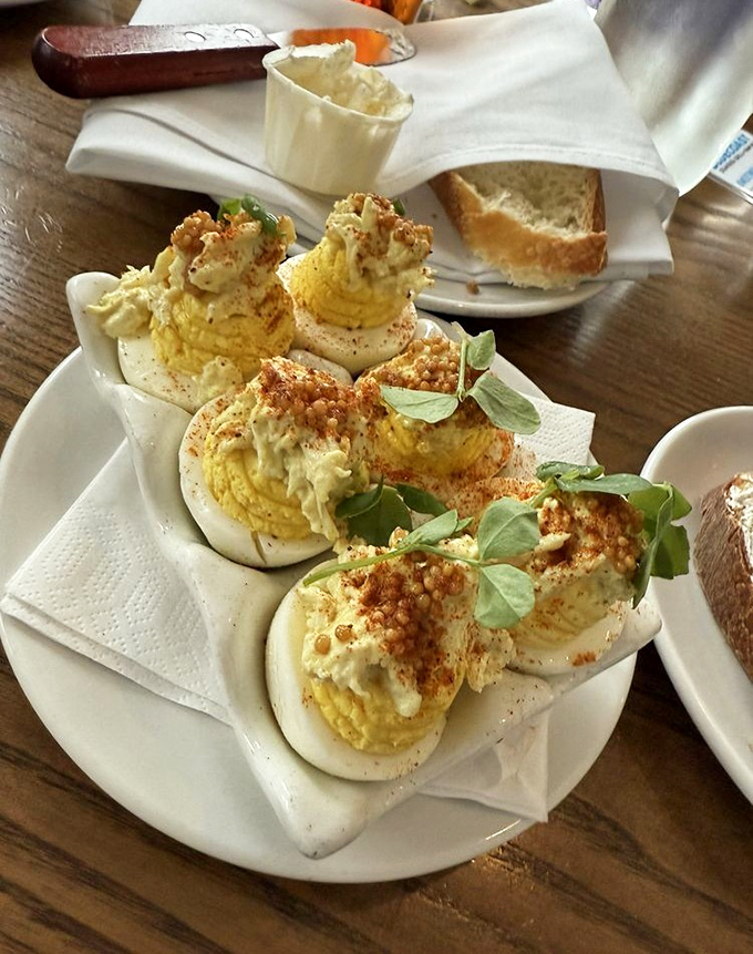 Deviled eggs that have clearly been to finishing school—creamy, perfectly piped, and dressed with herbs that make them ready for their close-up.