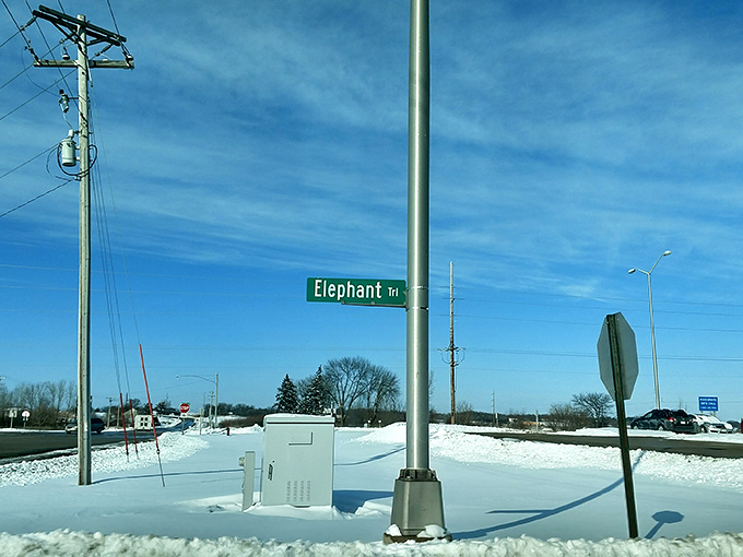 When they name a trail after you, you know you've made it. Elephant Trail – where navigation meets whimsy.
