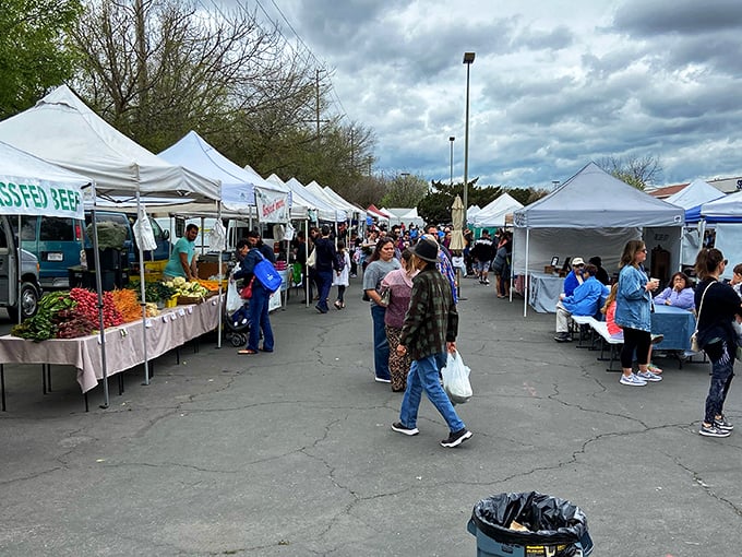 The farmers' market transforms parking lots into cornucopias of Central Valley bounty—where tomatoes actually taste like tomatoes should.