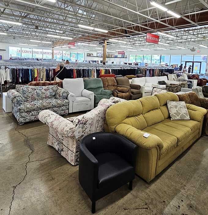 The living room lineup where couches compete for your attention. That mustard yellow number is either hideous or the perfect statement piece—you decide.