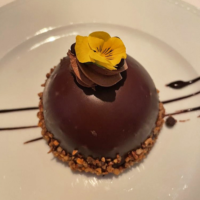 A chocolate dome that deserves its own ZIP code, crowned with a flower that's both garnish and announcement: "Yes, I am that fancy."
