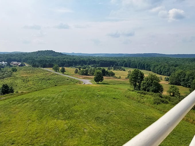 Rolling meadows meet forest edge in this landscape that practically begs for picnic blankets, frisbees, and afternoon naps under Pennsylvania skies.