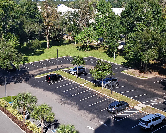Parking lots in Ocala come with their own tree canopies, offering shade that feels like nature's way of saying, "I've got you covered.