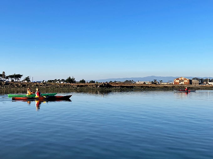 Serenity by paddle power. Kayakers glide across glass-like waters, experiencing the harbor's rhythm at the perfect pace—slow enough to notice everything.